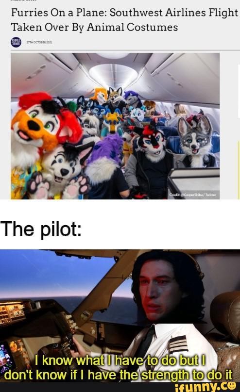 Furries On a Plane: Southwest Airlines Flight Taken Over By Animal ...