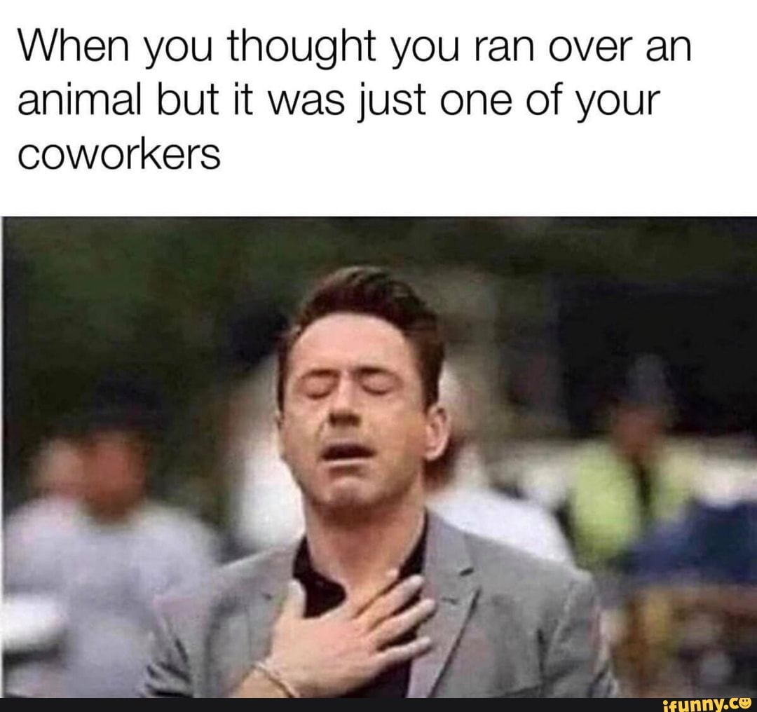 When you thought you ran over an animal but it was just one of your ...