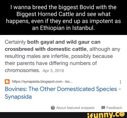 Crossbreed memes. Best Collection of funny Crossbreed pictures on iFunny