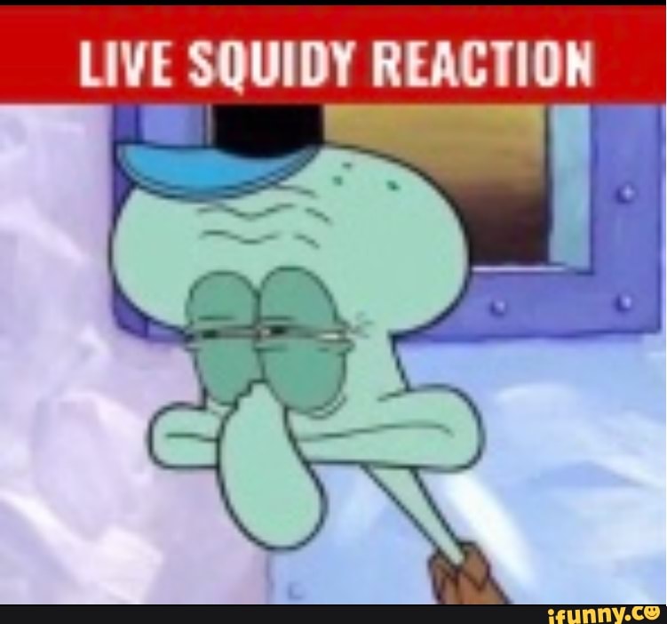 Squidy memes. Best Collection of funny Squidy pictures on iFunny