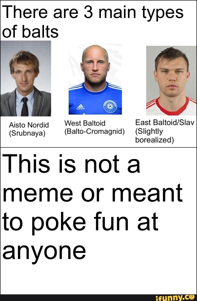 There are 3 main types of balts Aisto Nordid West Baltoid East (Srubn ...