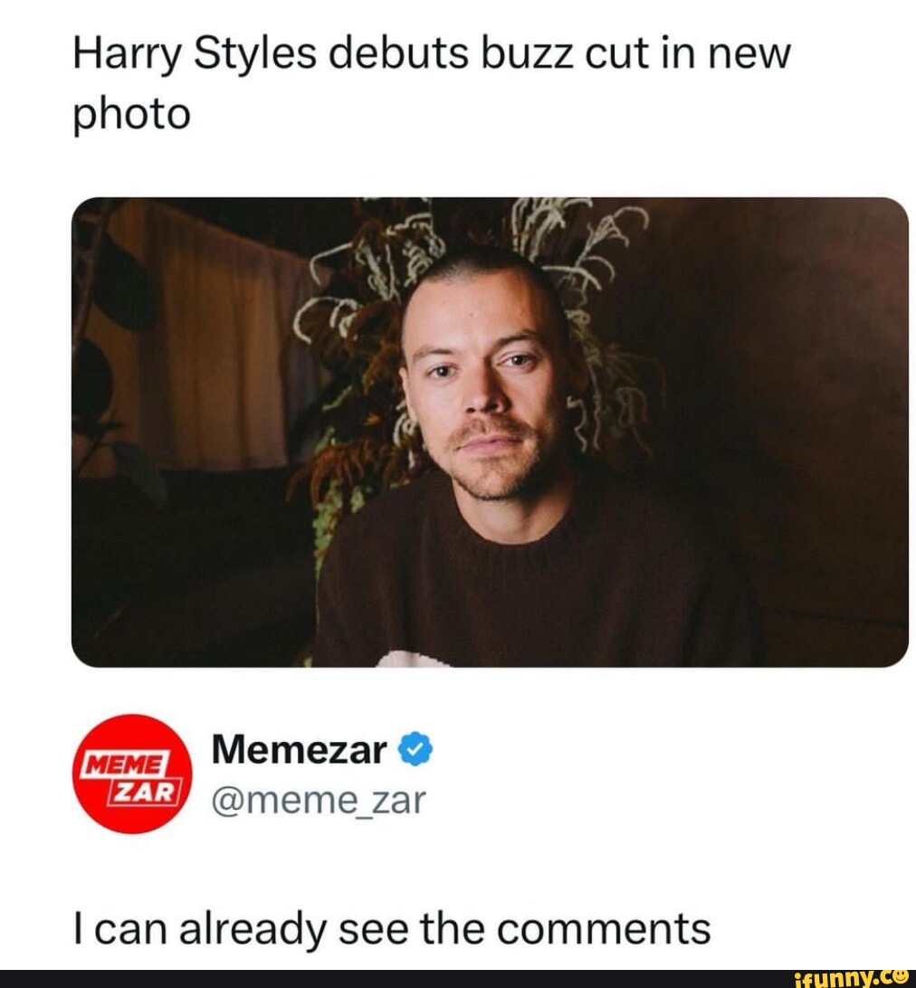Harry Styles debuts buzz cut in new photo Memezar @meme zar I can ...
