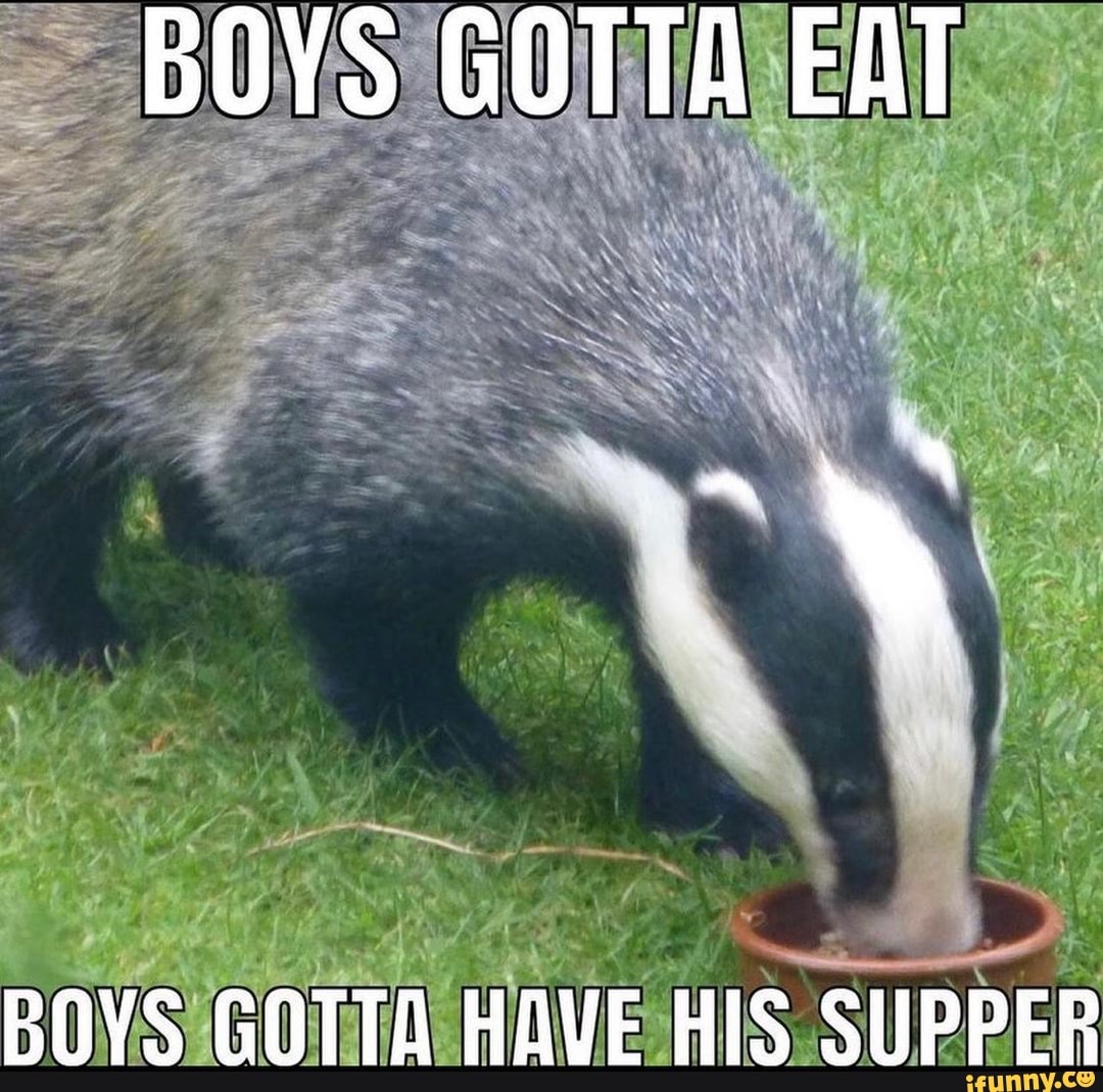 BOYS GOTTA EAT oN BOYS GOTTA HAVE HIS SUPPER - iFunny
