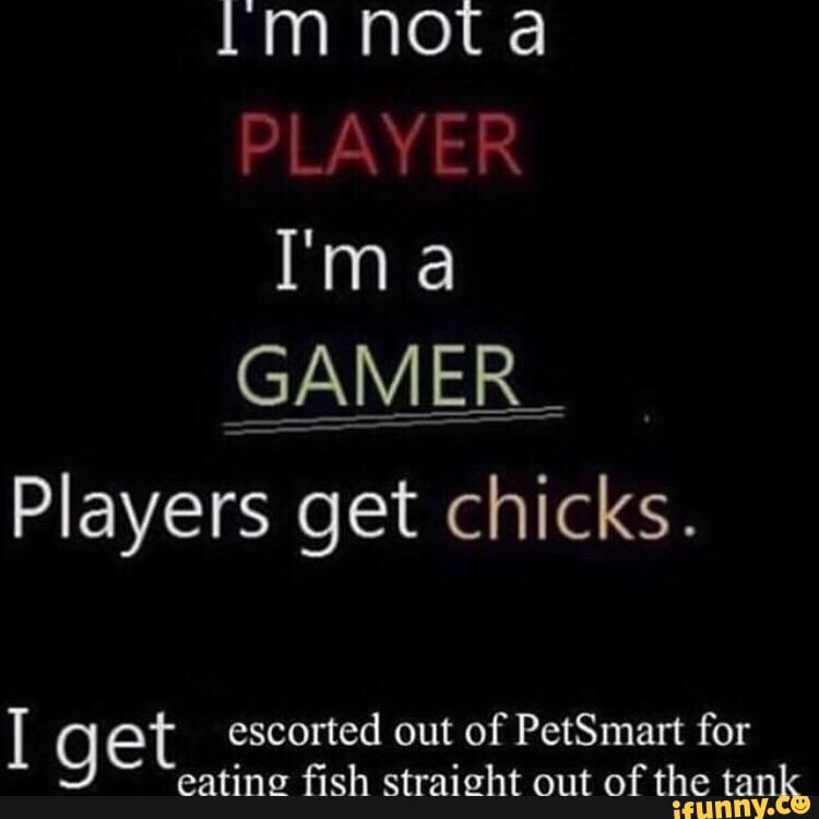 Nota PLAYER I'ma GAMER Players get chicks. et escorted out of PetSmart ...