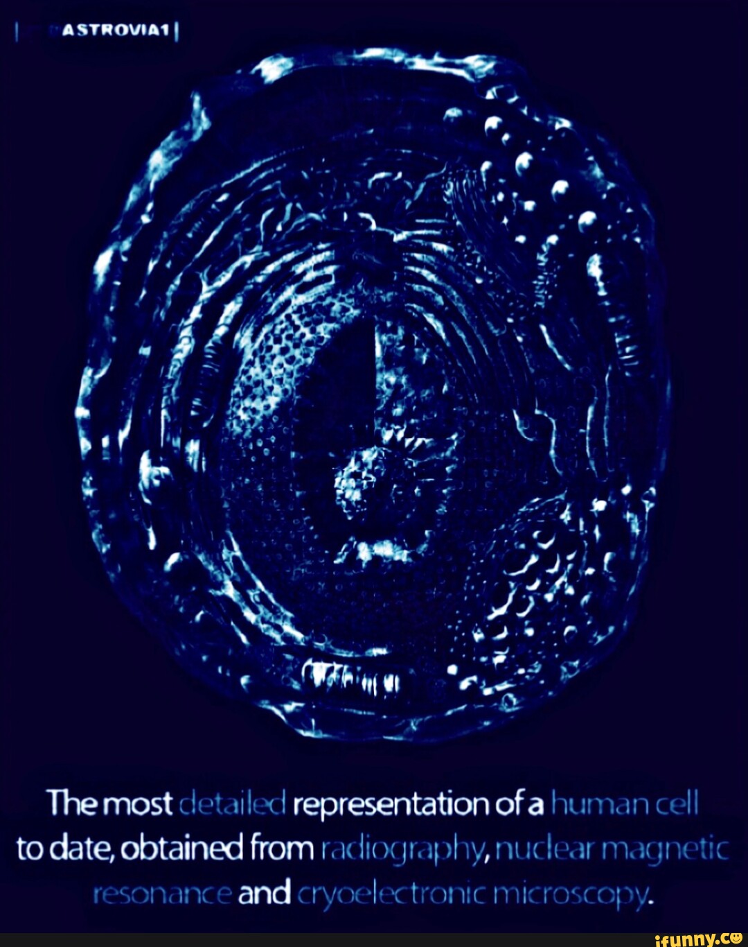 Microscopy memes. Best Collection of funny Microscopy pictures on iFunny