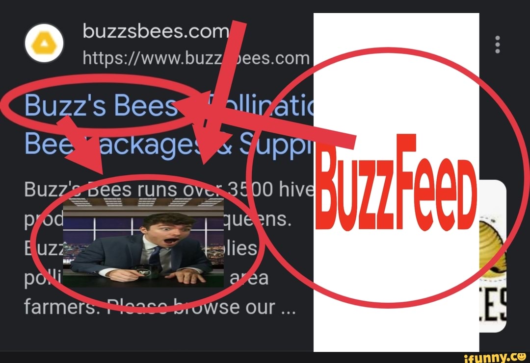 Buzzs memes. Best Collection of funny Buzzs pictures on iFunny