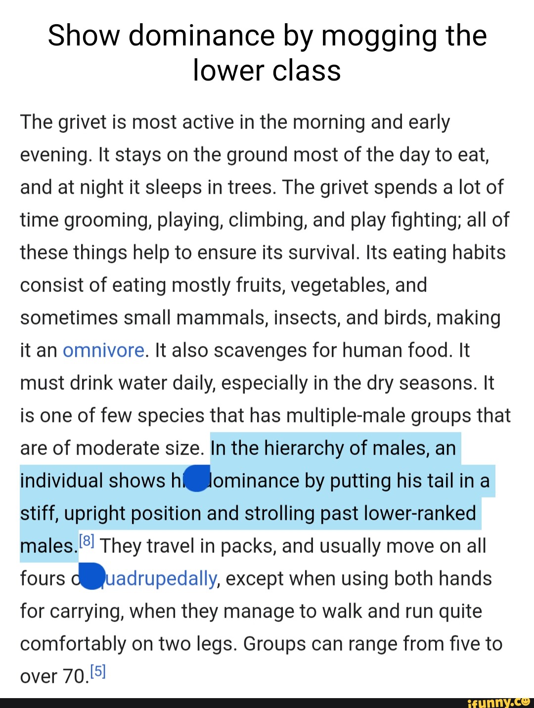 Mogging memes. Best Collection of funny Mogging pictures on iFunny