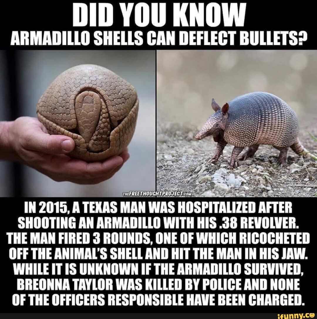 DID YOU KNOW ARMADILLO SHELLS CAN DEFLECT BULLETS? IN 2015, A TEXAS MAN ...