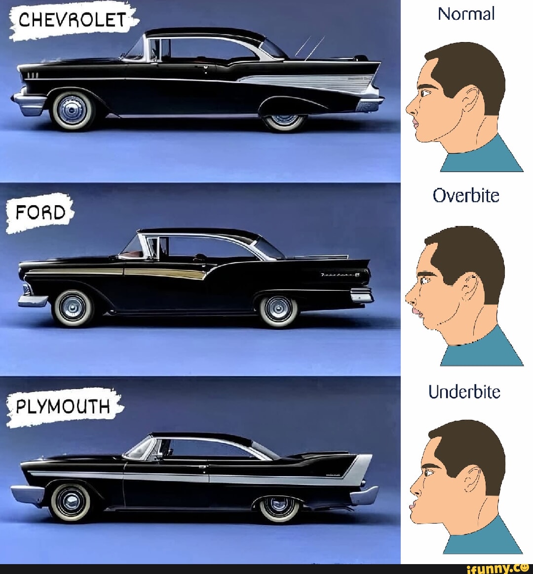 EVAOLET: Normal Overbite Underbite - iFunny