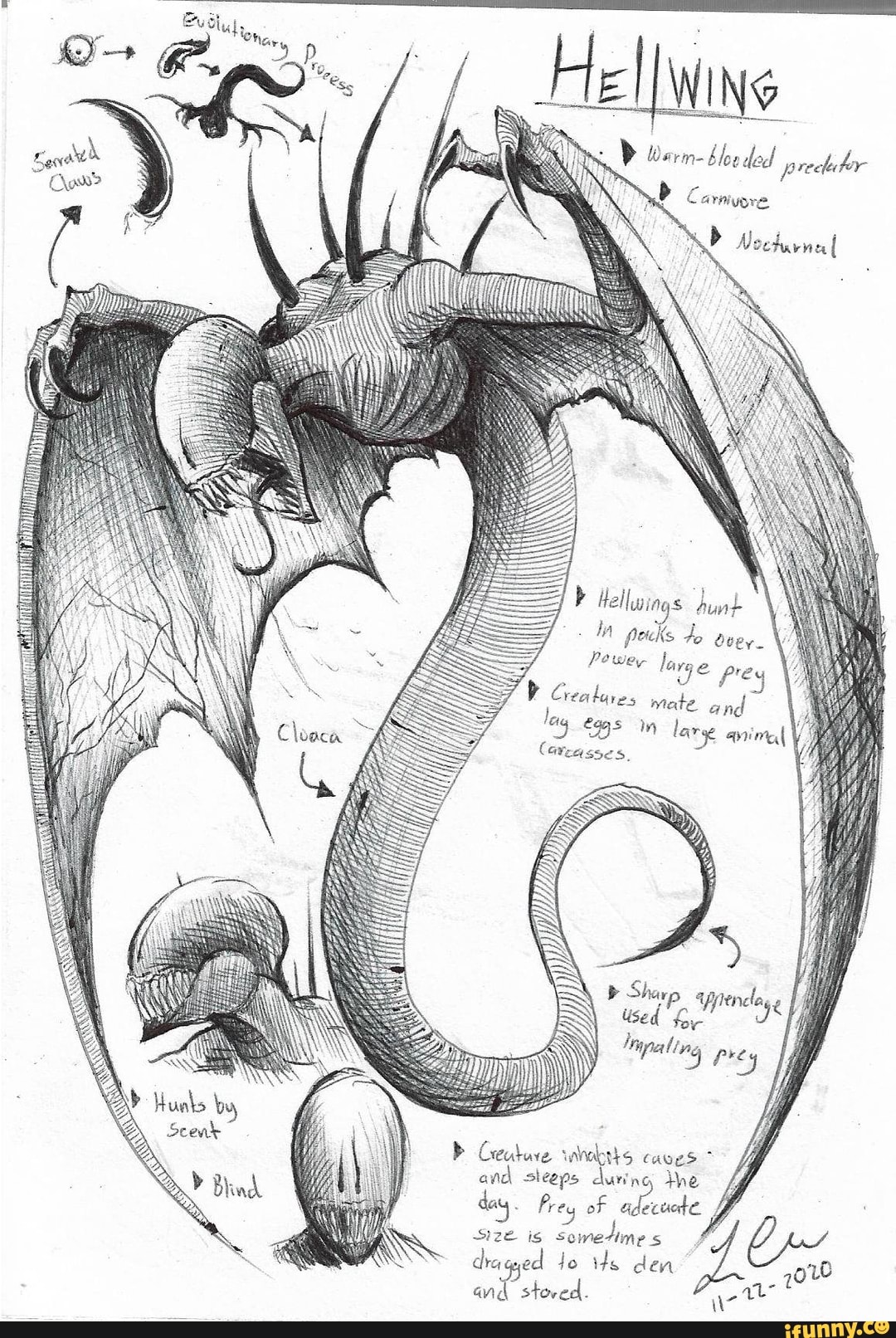 Wine > Werm bloeded yreelubor bc Carnivore Hellwings dunt ye Creatares ...