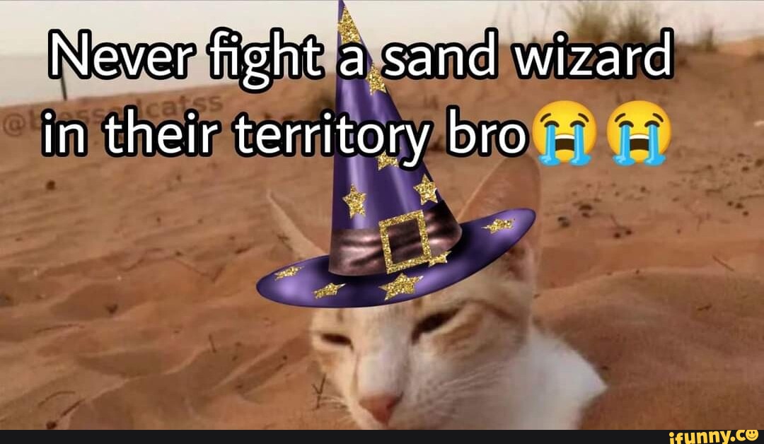Never fight a sand wizard in their territory bro - - iFunny