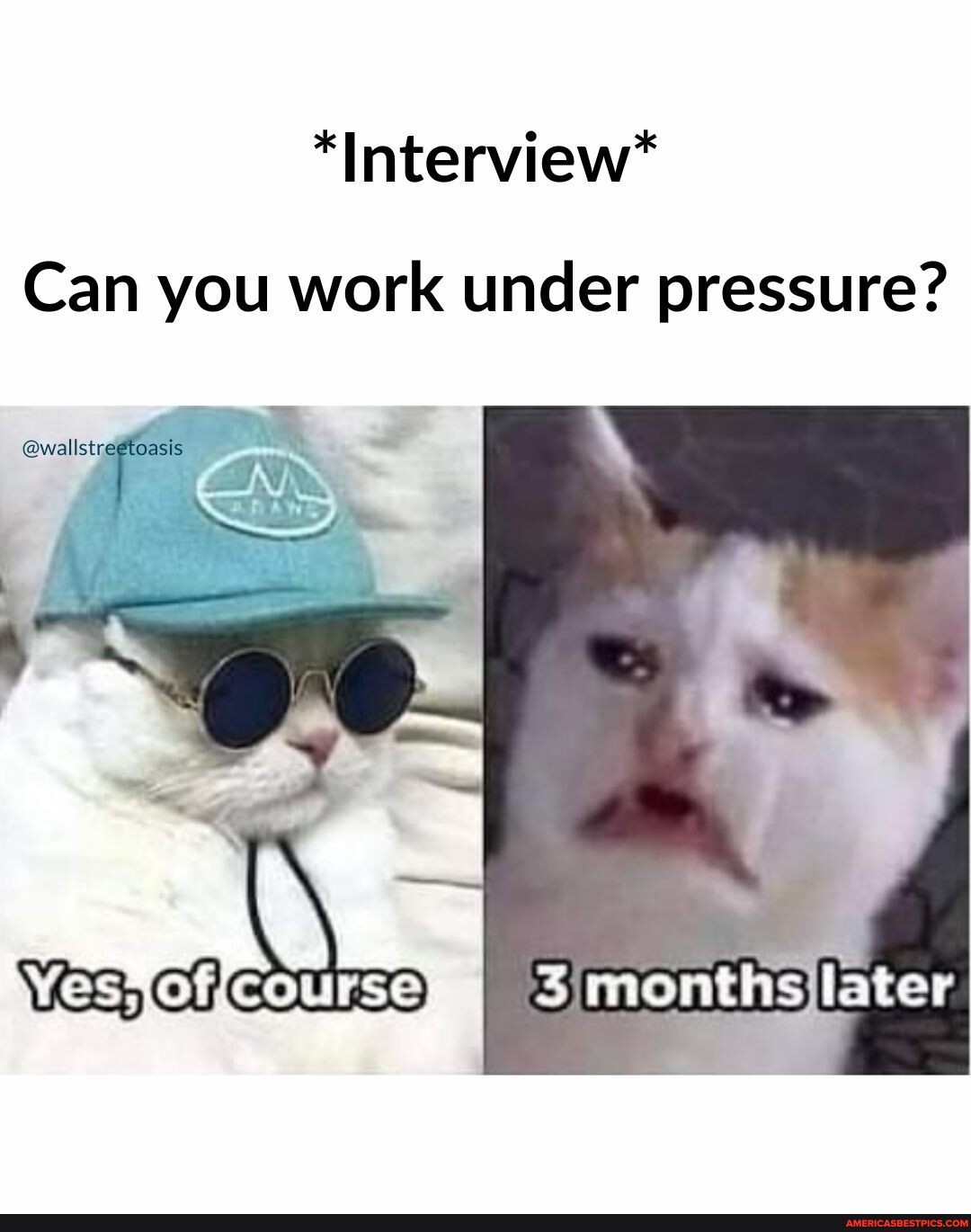 😅 #workmemes #memes - *Interview* Can you work under pressure ...