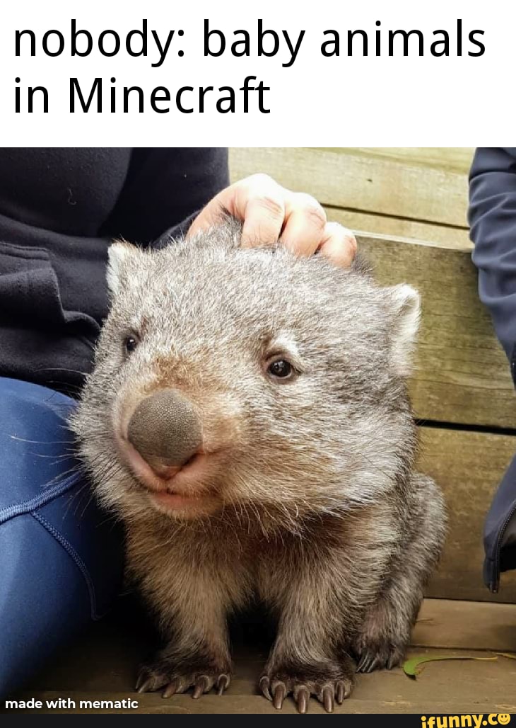 Nobody: baby animals in Minecraft - iFunny