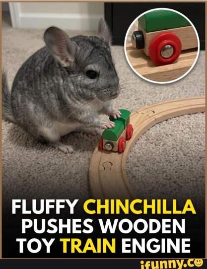 iFunny - the best memes, video, gifs and funny pics in one place