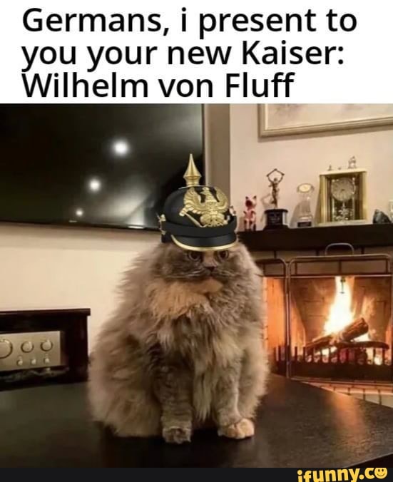 Germans, I present to you your new Kaiser: Wilhelm von Fluff - iFunny