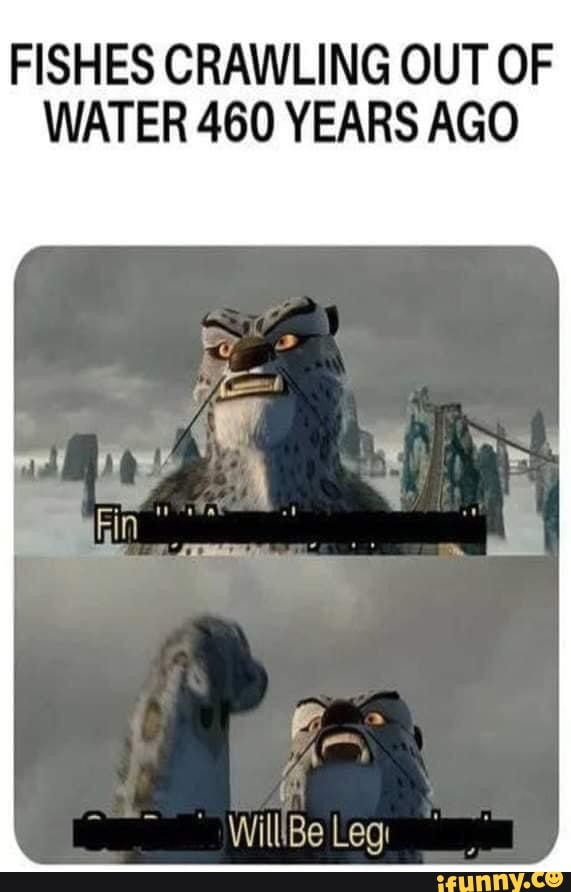 FISHES CRAWLING OUT OF WATER 460 YEARS AGO Willie Leg - iFunny