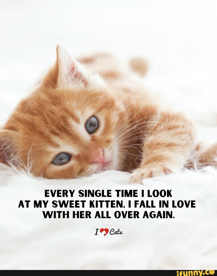 Cots memes. Best Collection of funny Cots pictures on iFunny