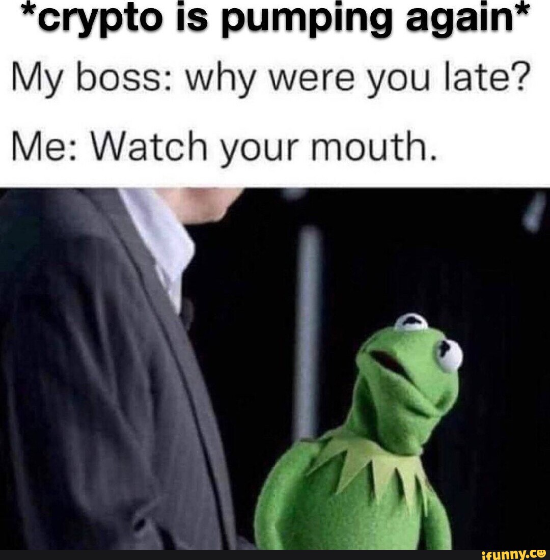 Crypto IS pumping again My boss: why were you late? Me: Watch your ...