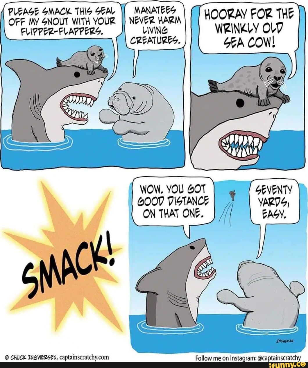 Hooray memes. Best Collection of funny Hooray pictures on iFunny