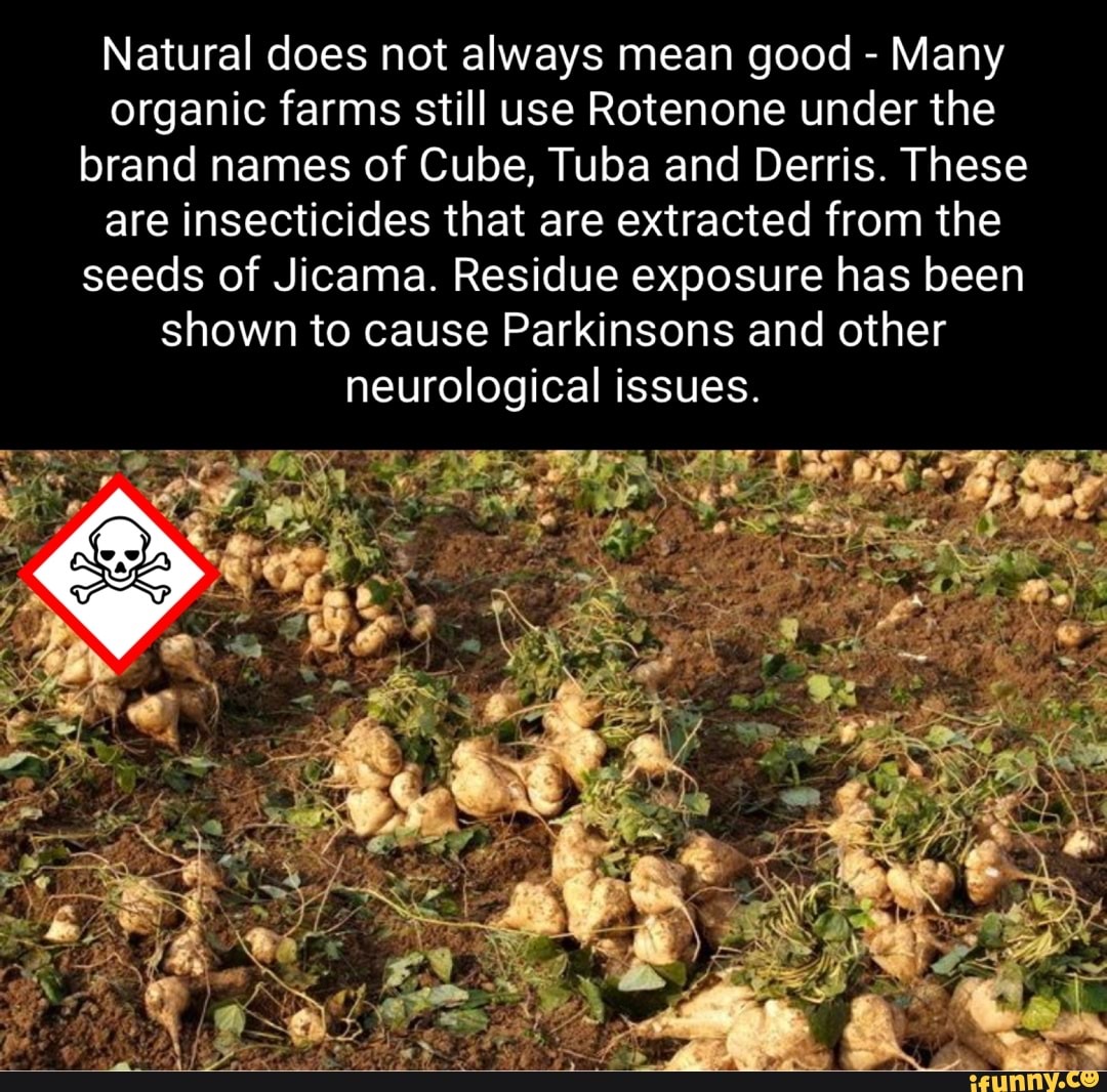 Jicama memes. Best Collection of funny Jicama pictures on iFunny