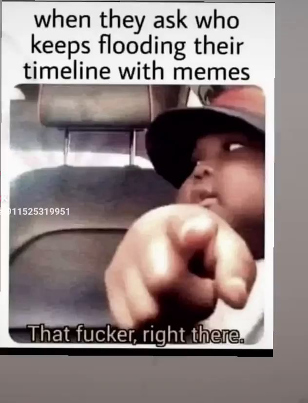 Flood Timeline Memes