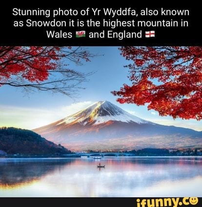 Snowdon memes. Best Collection of funny Snowdon pictures on iFunny