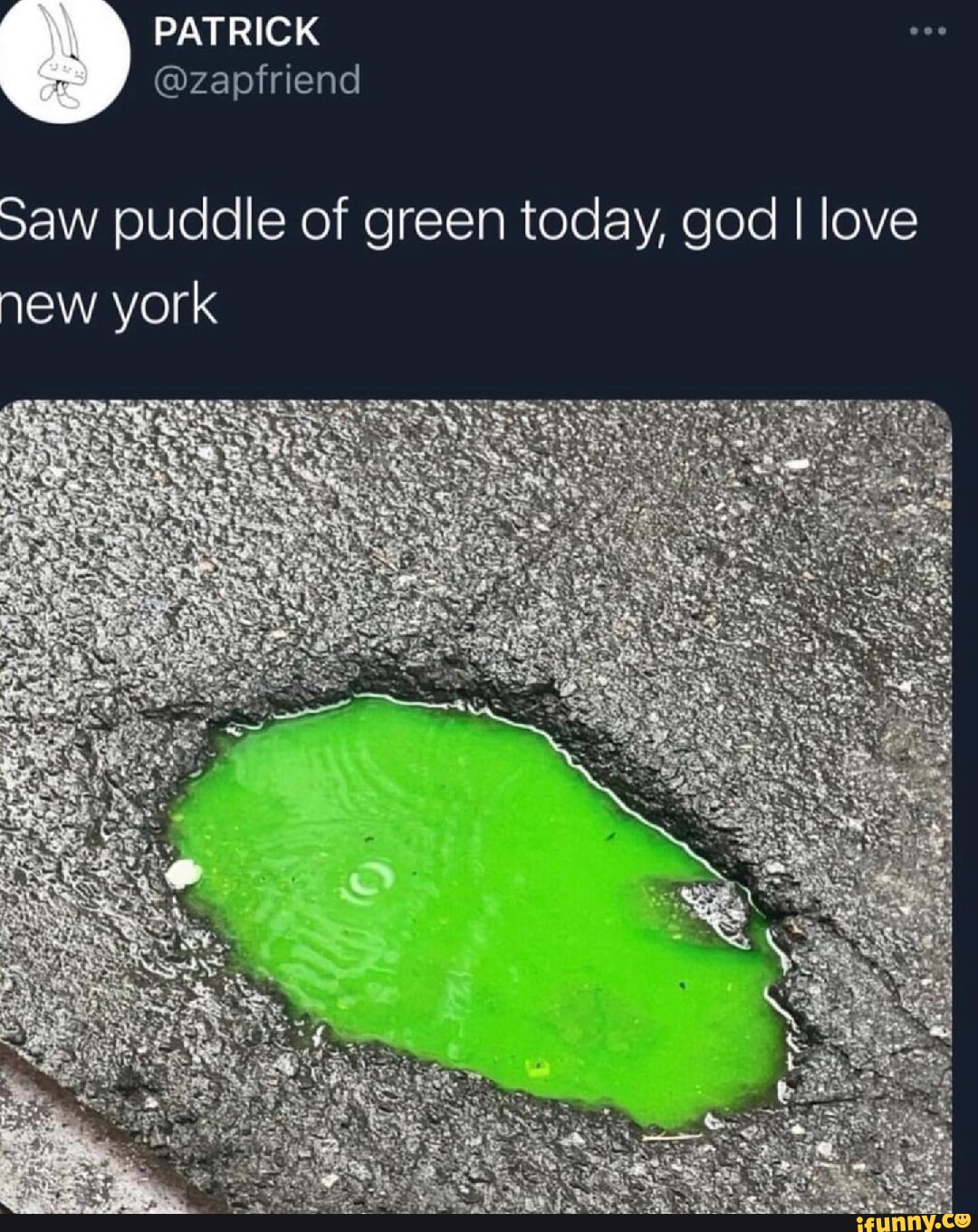 PATRICK @zapfriend SS love Saw puddle of green today, god I new york ...