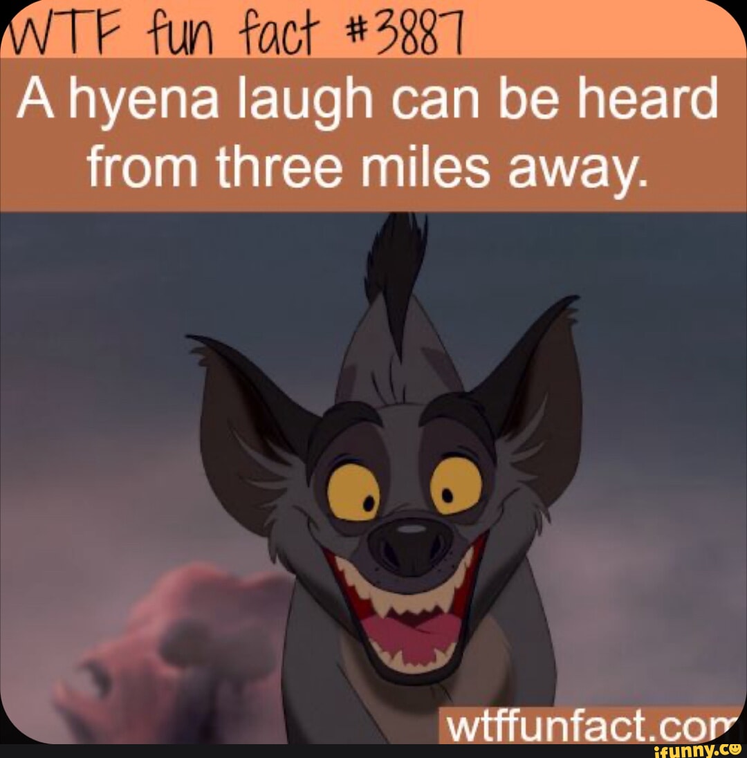 Hyena memes. Best Collection of funny Hyena pictures on iFunny