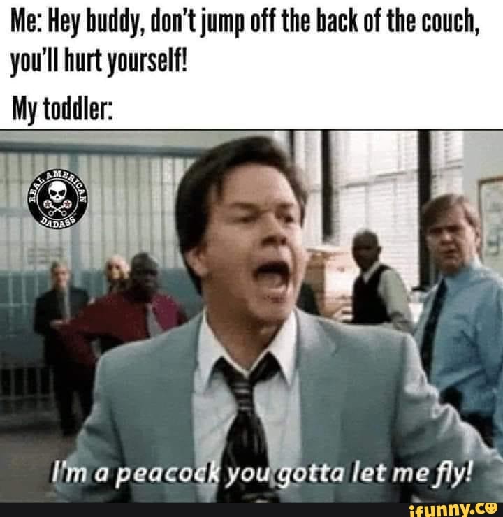 Me: Hey buddy, don't jump off the back of the couch, you'll hurt ...