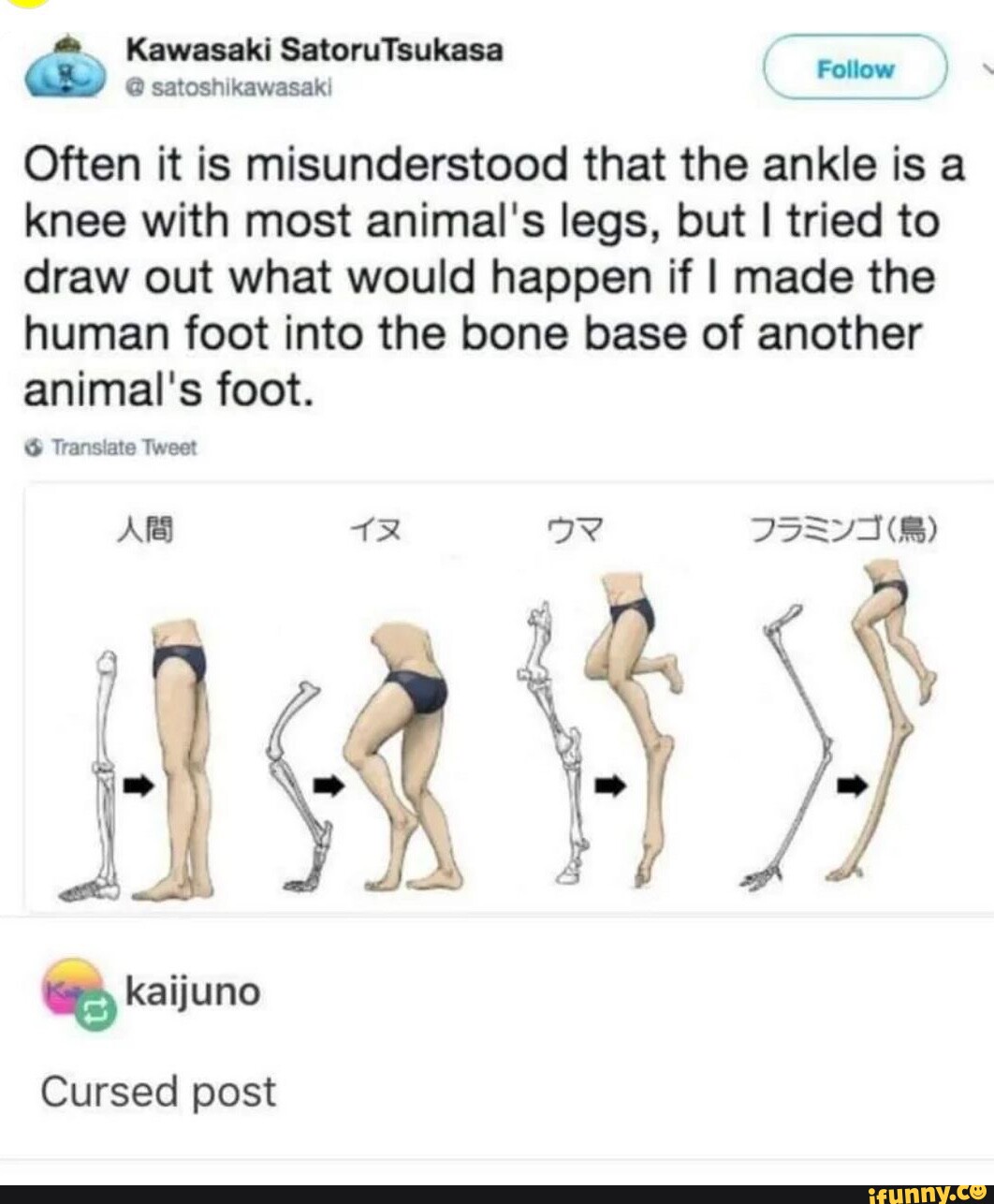 Kawasaki SatoruTsukasa Follow ) @ satoshikawasaki Often it is ...