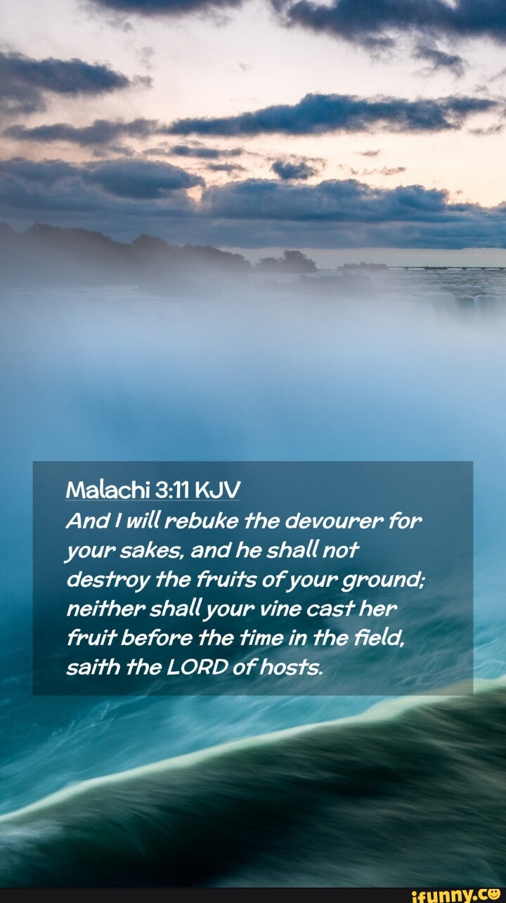Malachi KJV And I will rebuke the devourer for your sakes, and he shall ...