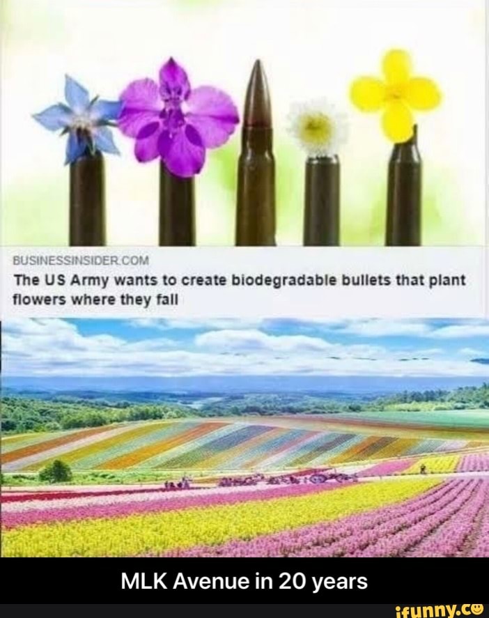 The US Army wants to create biodegradable bullets that plant flowers ...