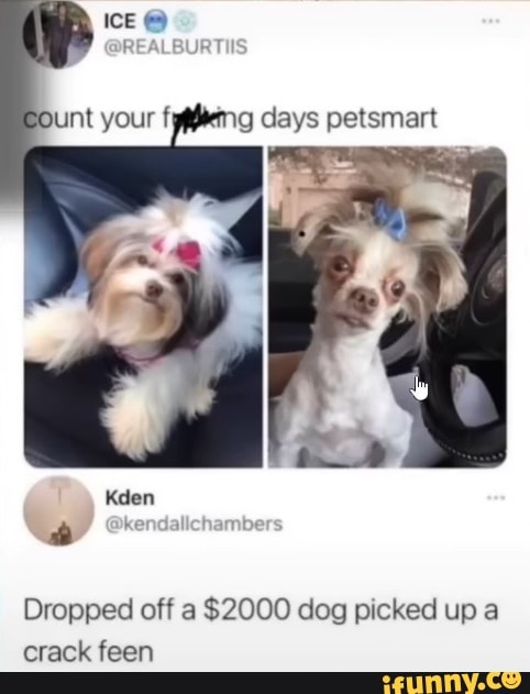 Kden memes. Best Collection of funny Kden pictures on iFunny