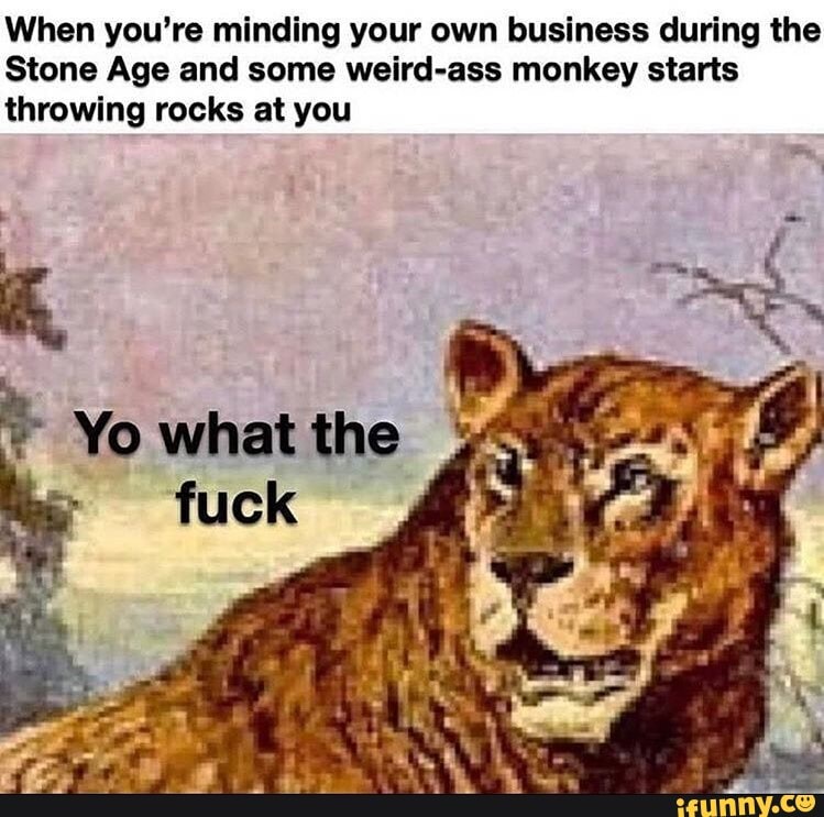 When you're minding your own business during the Stone Age and some ...