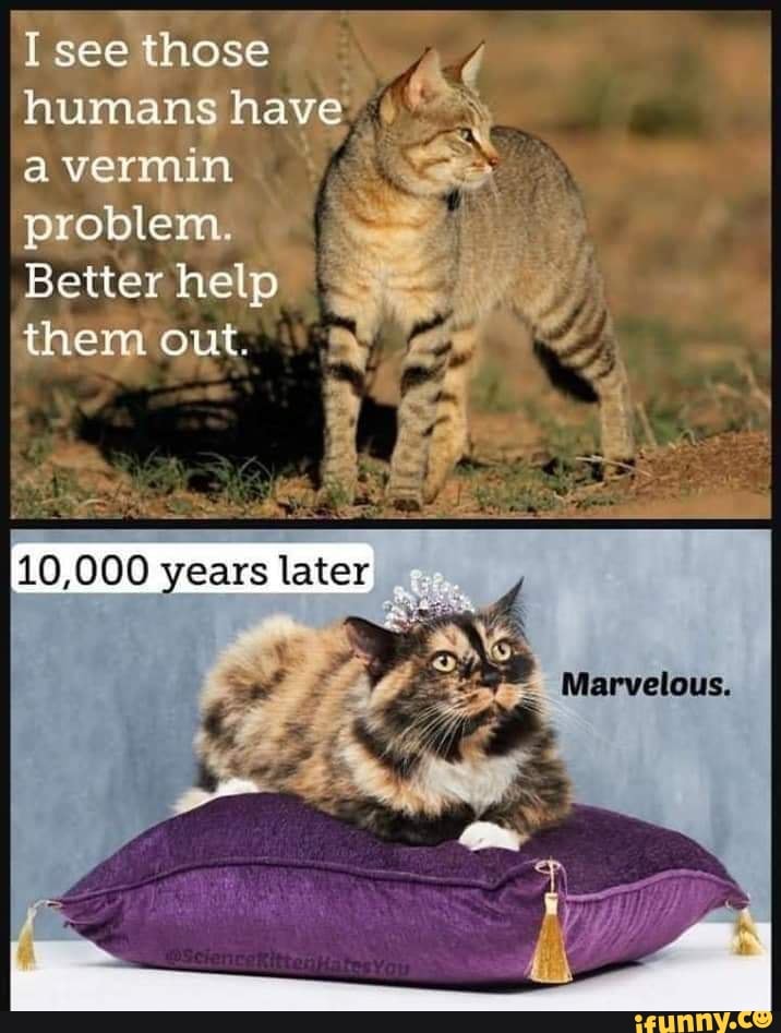 I see those humans have, a vermin problem. Better them out. 10,000 ...