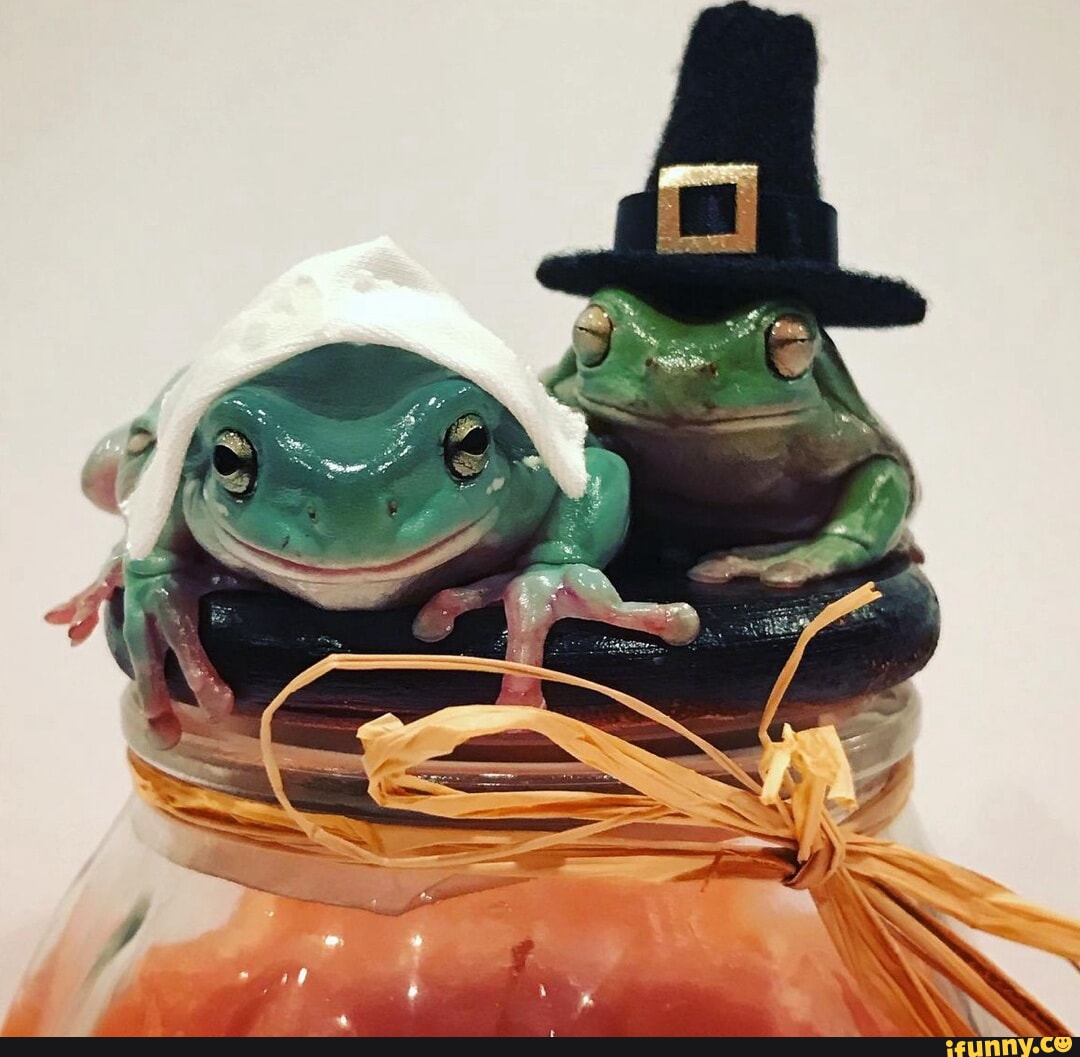 Picture memes dP7vh060B by friggin_frog: 1 comment - iFunny