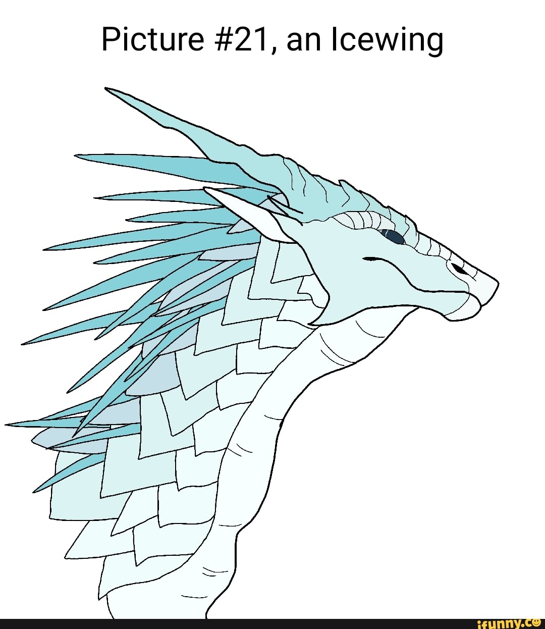 Icewing memes. Best Collection of funny Icewing pictures on iFunny