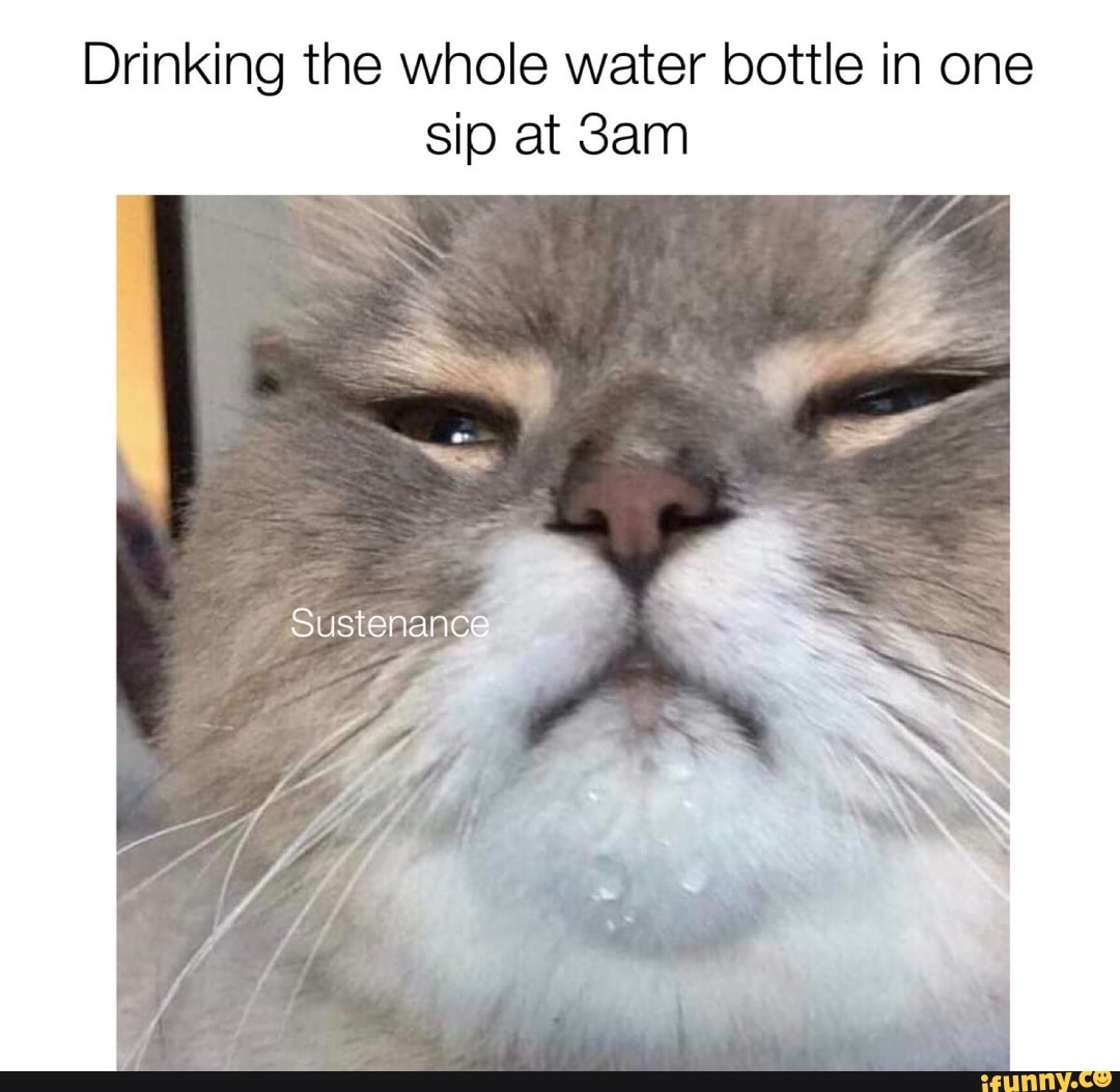 Drinking the whole water bottle in one sip at 3am - iFunny