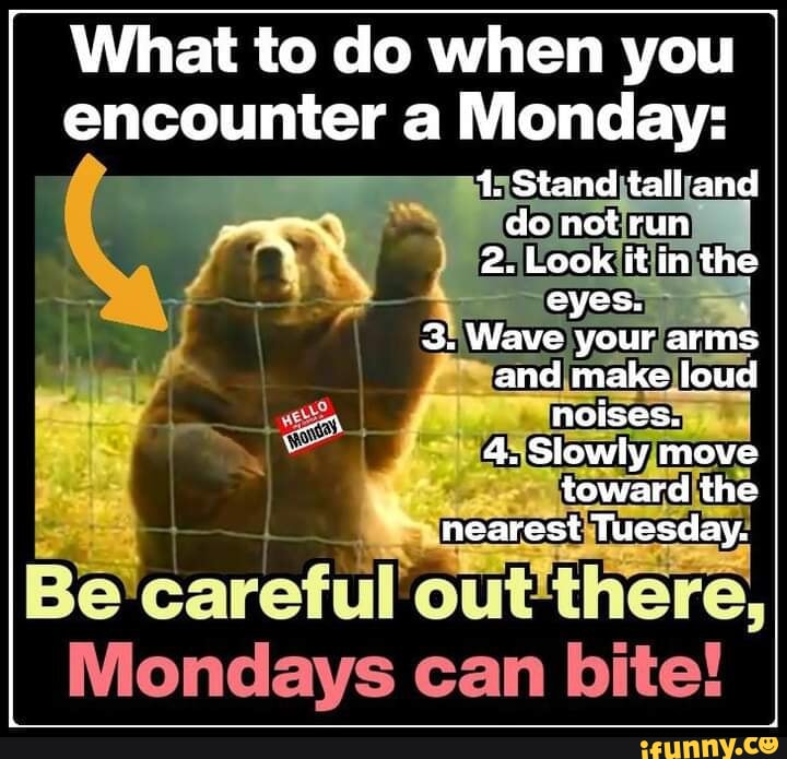 What to do when you encounter a Monday: 1. Stand tall and do not run 2 ...