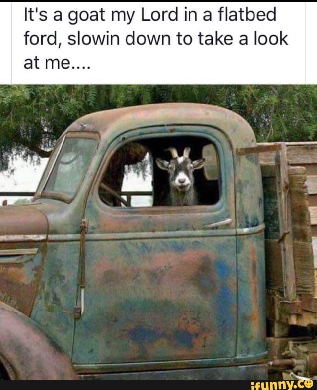 It's a goat my Lord in a flatbed ford, slowin down to take a look at me ...