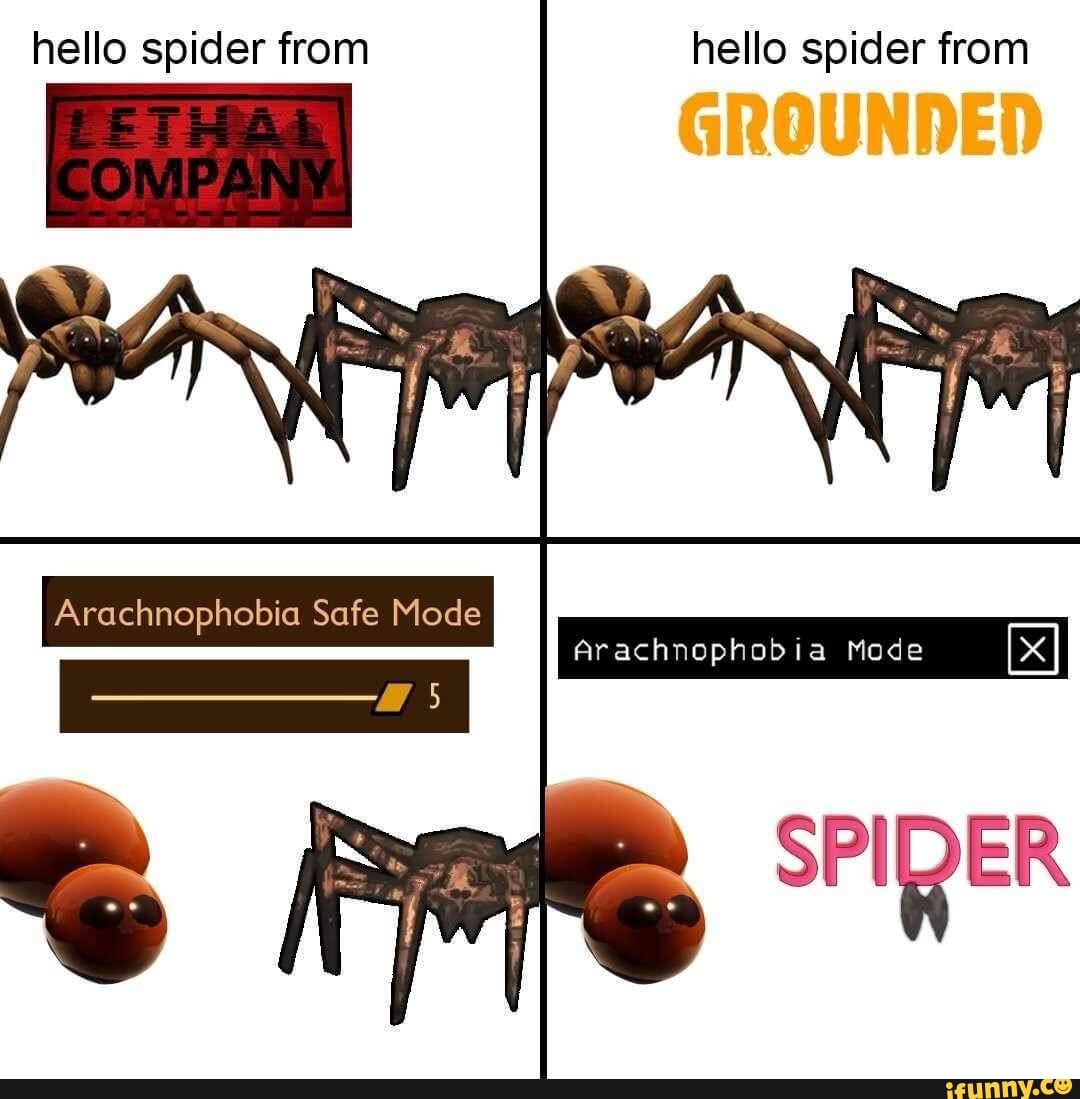 Hello spider from hello spider from GROUNDED Arachnophobia Safe Mode ...