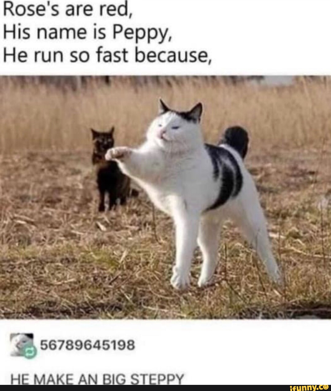 Peppy memes. Best Collection of funny Peppy pictures on iFunny