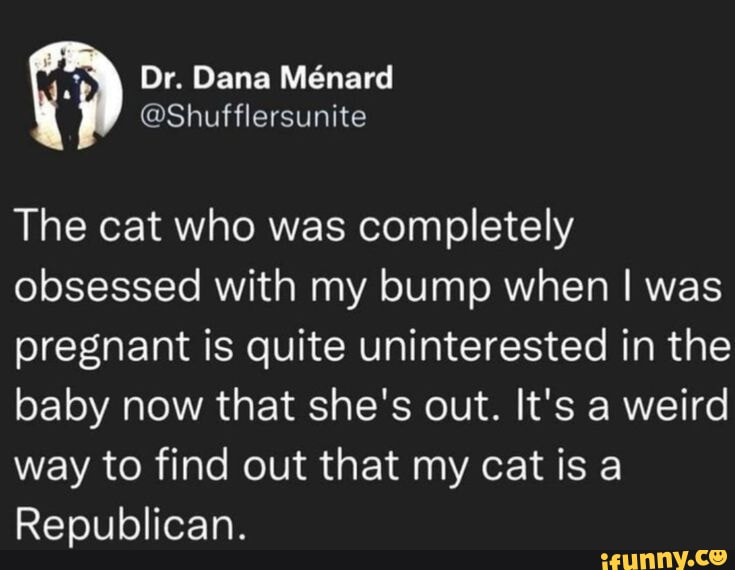 Dr. Dana Menard @Shufflersunite The cat who was completely obsessed ...