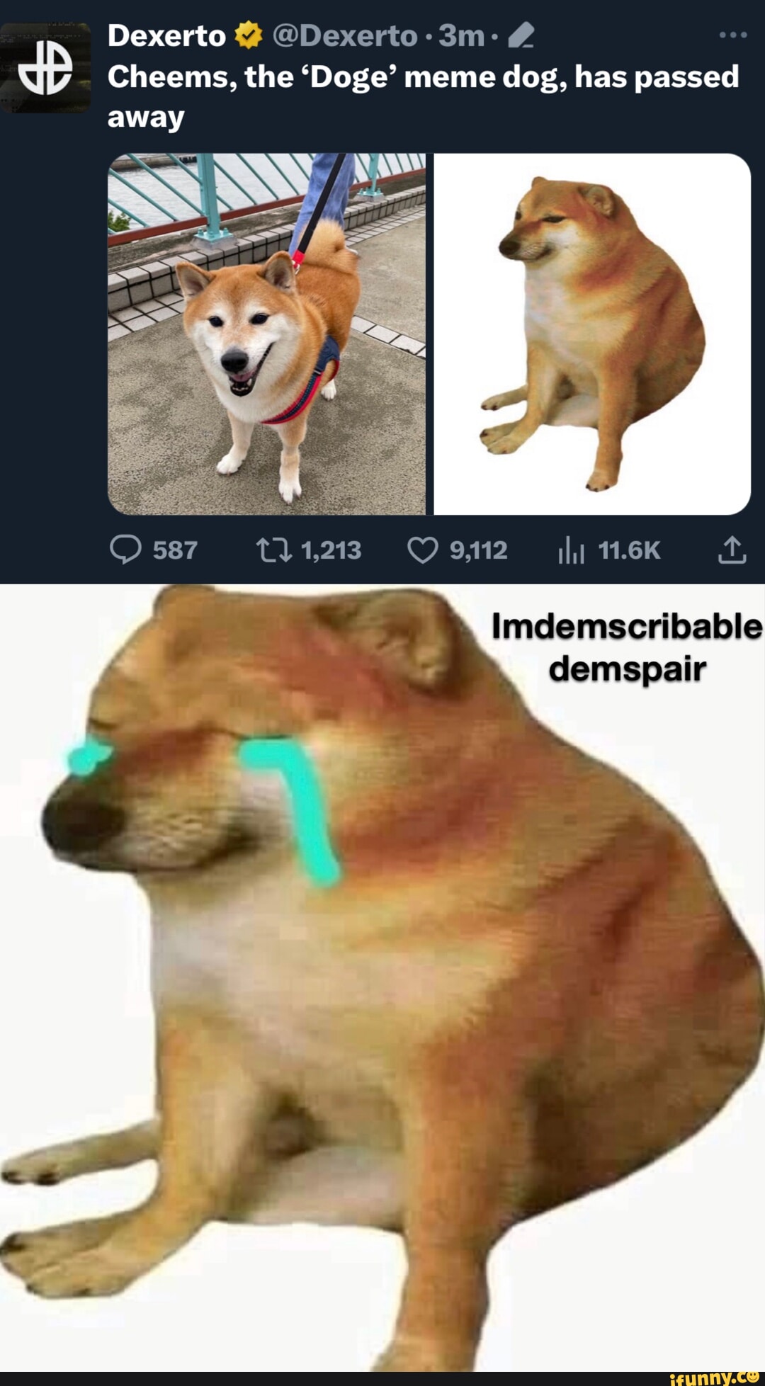 Dexerto Cheems, the 'Doge' meme dog, has passed away 587 11.6K ...