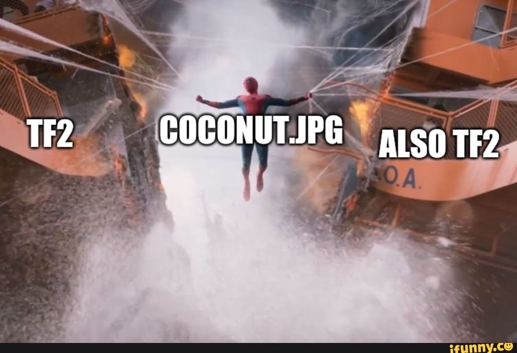 Coconutjpg memes. Best Collection of funny Coconutjpg pictures on iFunny