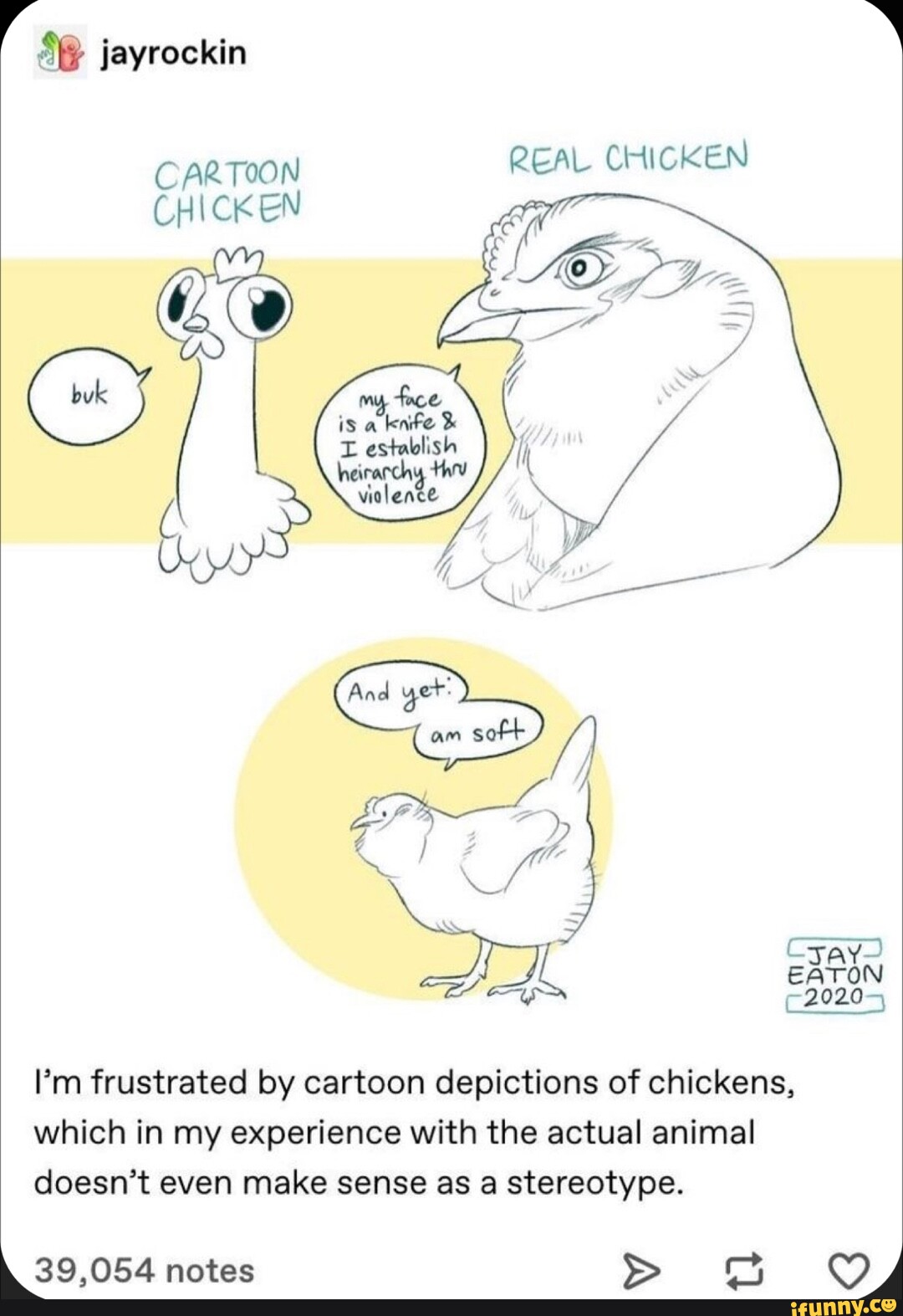Jayrockin CARTOON REAL CHICKEN CHICKEN is % establish heirarchy ...