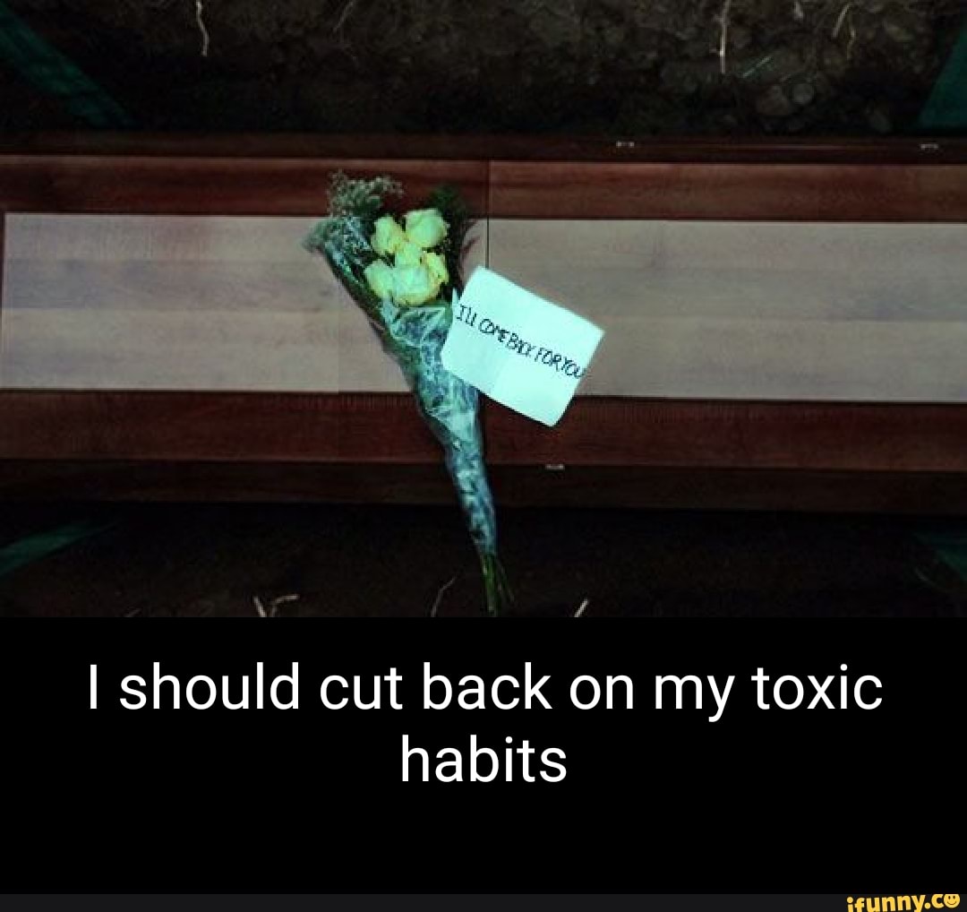 Toxic memes. Best Collection of funny Toxic pictures on iFunny
