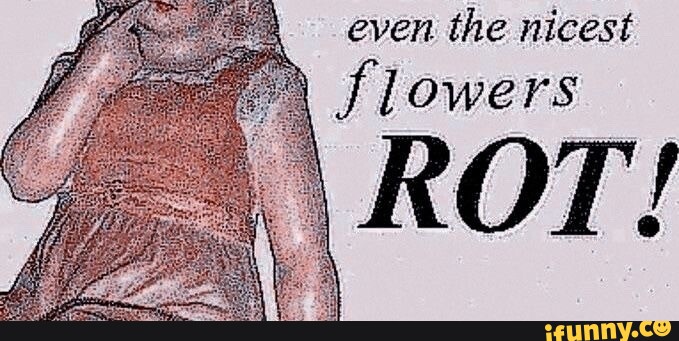 Rot memes. Best Collection of funny Rot pictures on iFunny