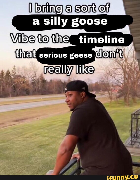 I bring a sort of silly goose Vibe to the timeline that serious geese ...