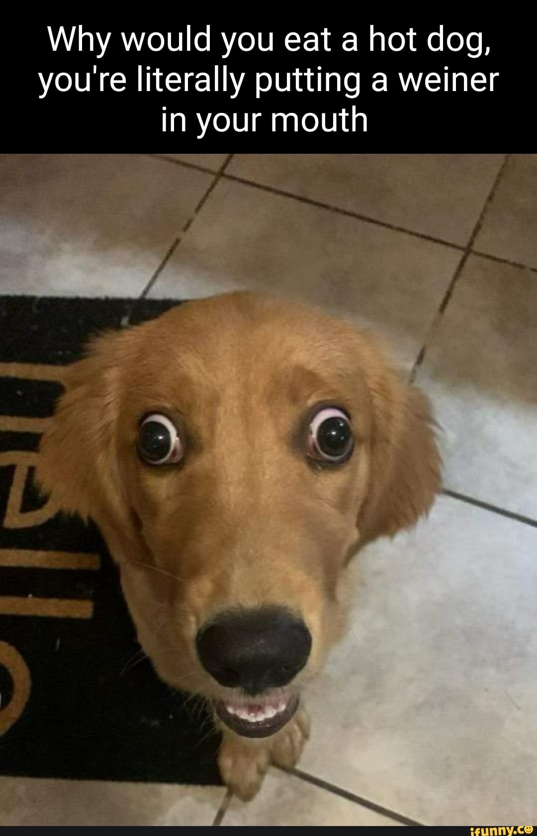 Why would you eat a hot dog, youre literally putting a weiner in your ...